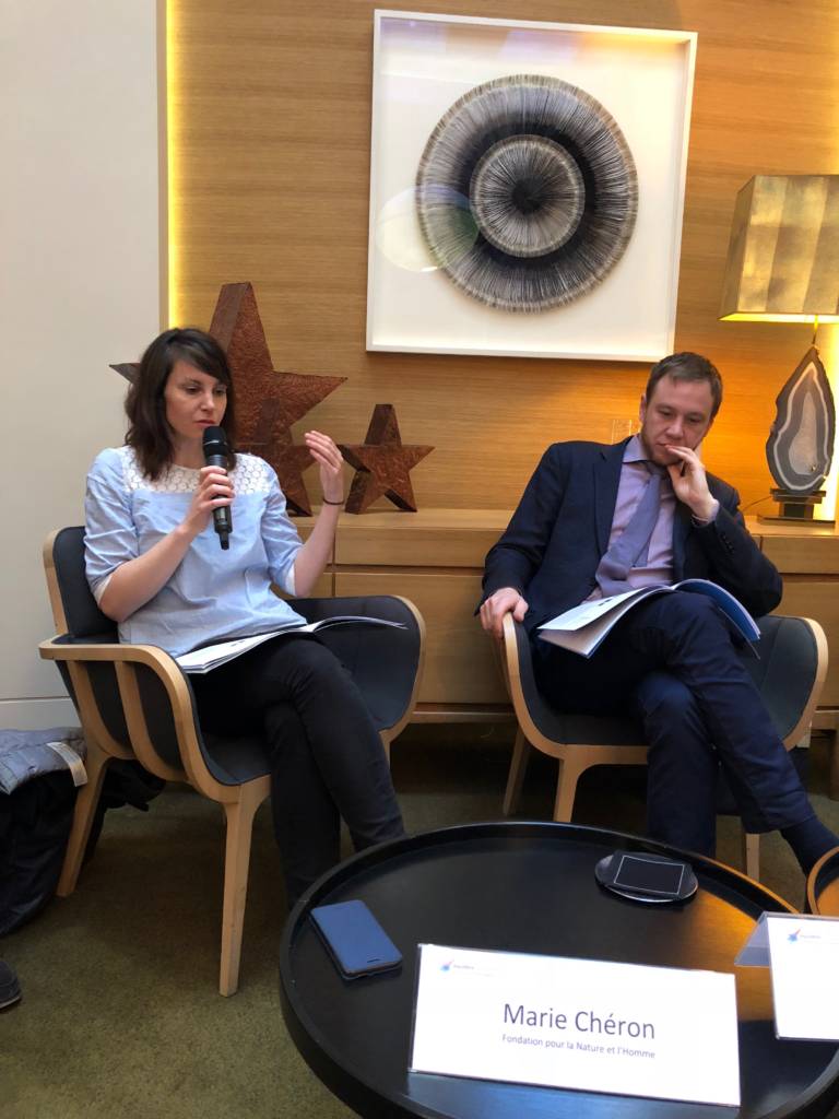 Marie Chéron et Abrial Gilbert-d'Halluin – Le véhicule électrique dans ...